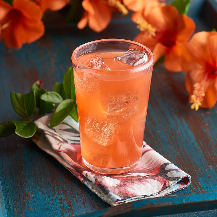 Hibiscus Cooler Recipe – Tupperware Brand