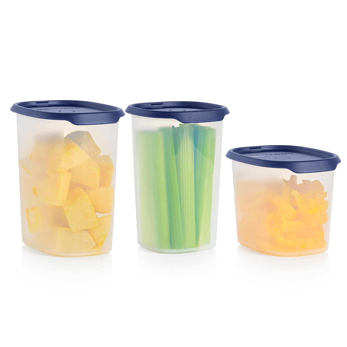 Refrigerator Storage – Tupperware