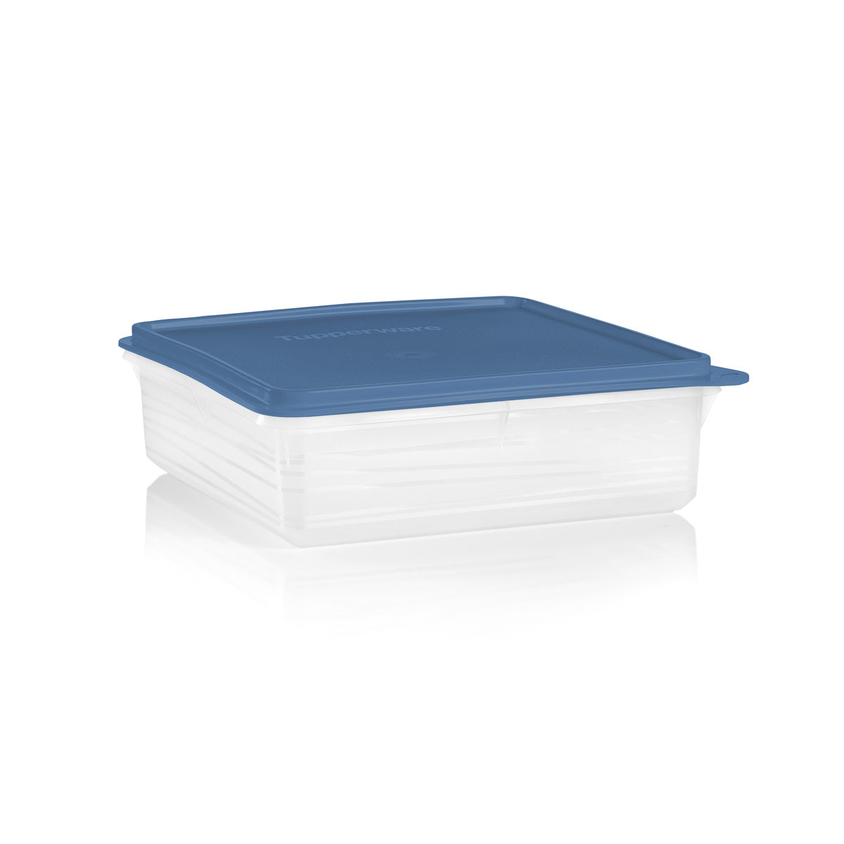 Refrigerator Storage – Tupperware Brand
