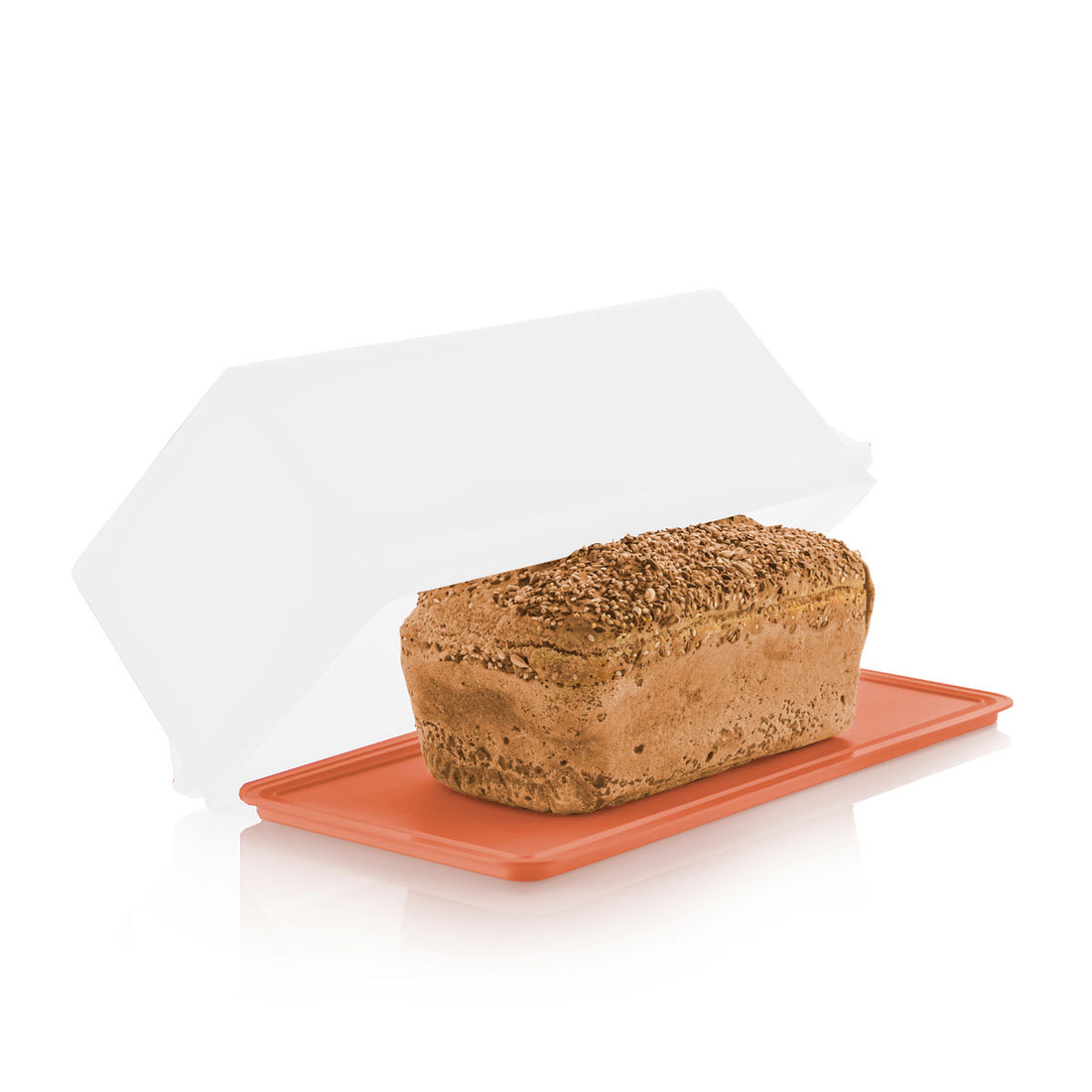Jumbo Bread Keeper – Tupperware Brand