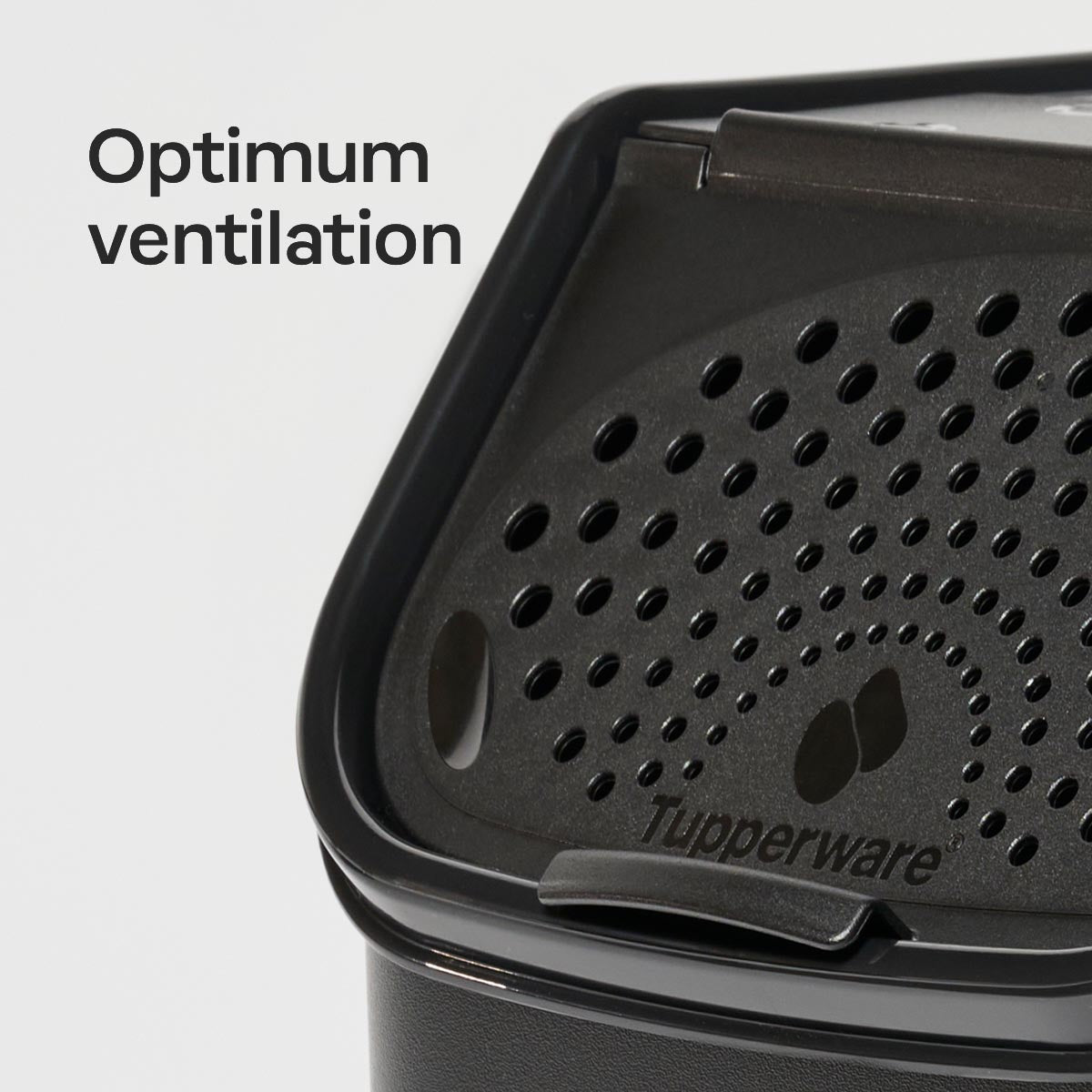 Potato Smart® Container – Tupperware Brand