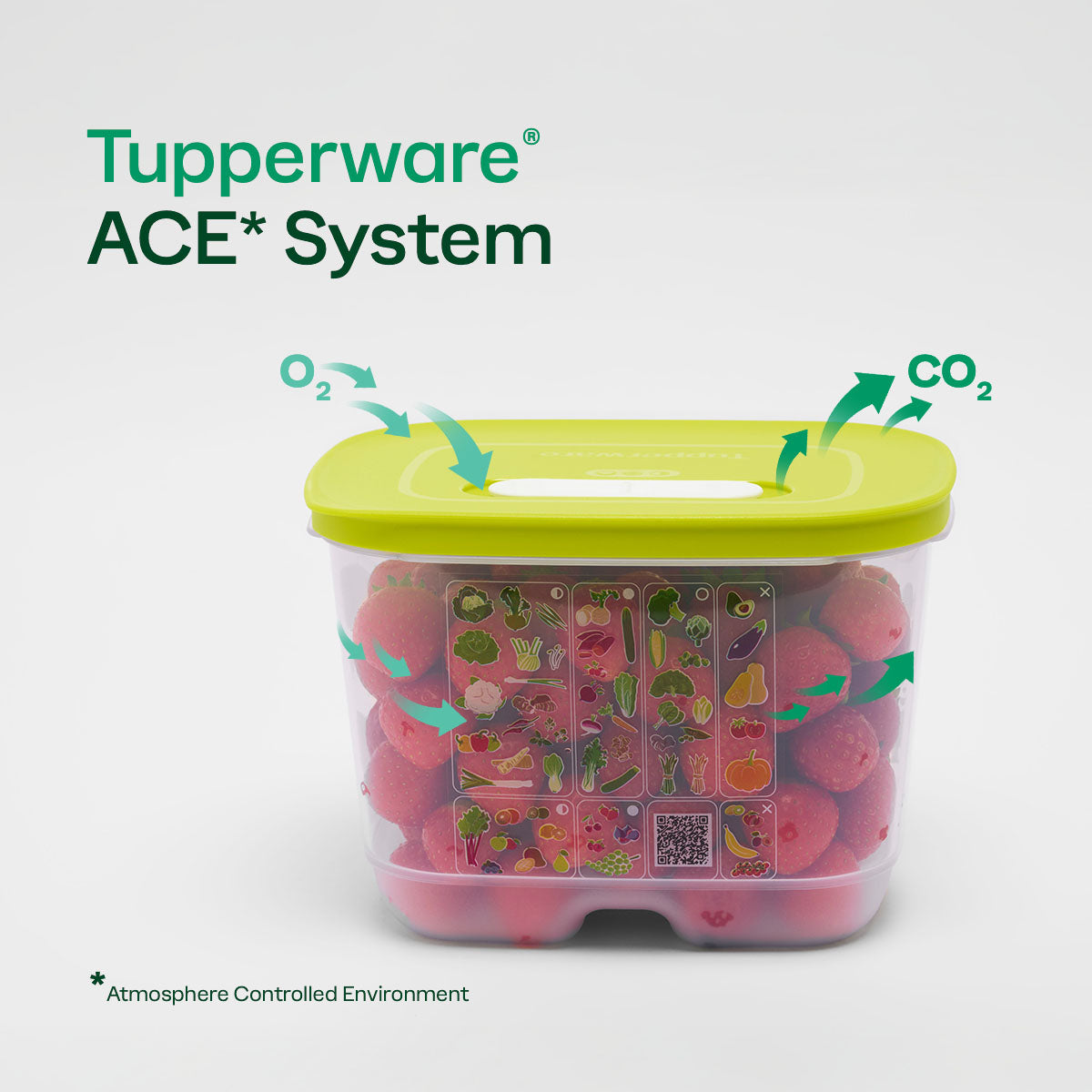 FridgeSmart® Containers – Tupperware Brand