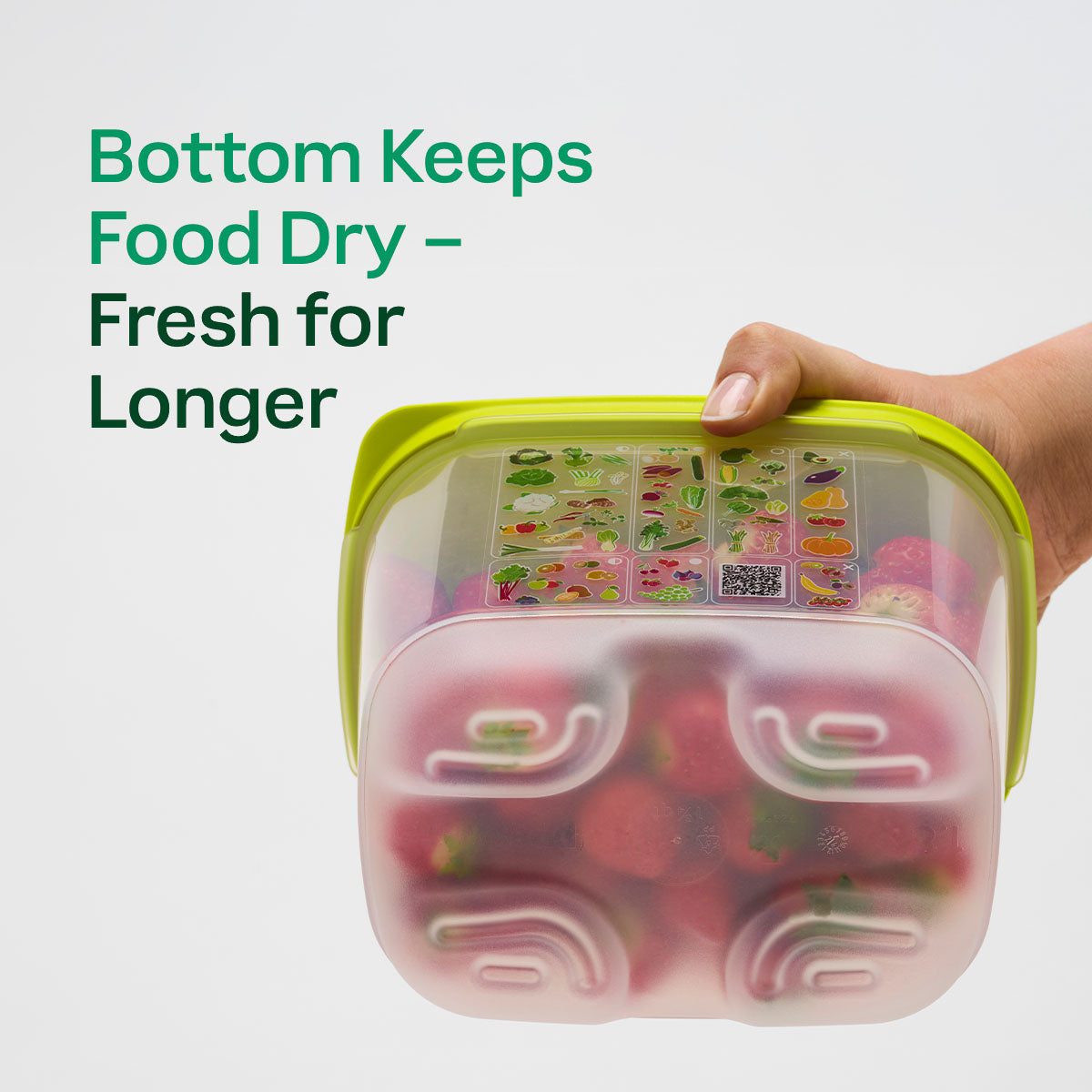 FridgeSmart® Medium Deep – Tupperware Brand