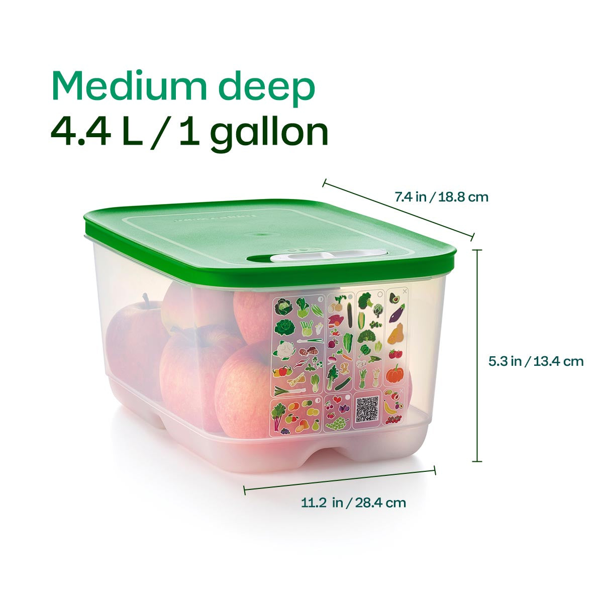 FridgeSmart® Medium Deep – Tupperware