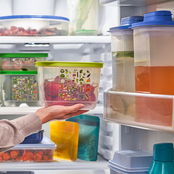 FridgeSmart® Small Deep – Tupperware Brand