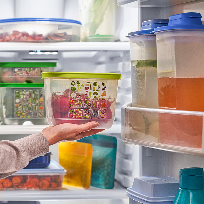FridgeSmart® Small Deep – Tupperware Brand