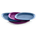 Microwave Reheatable Luncheon Plates – Tupperware