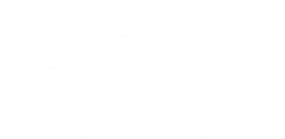 BPA Free – Tupperware Brand