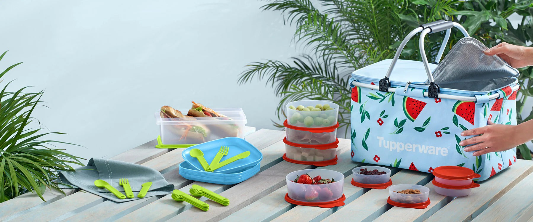 Host a Party – Tupperware US