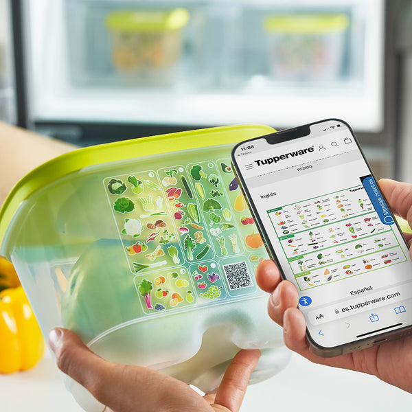 FridgeSmart ® Medium Container – Tupperware Brand