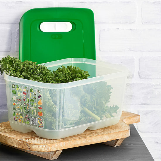 FridgeSmart® Medium Deep – Tupperware Brand