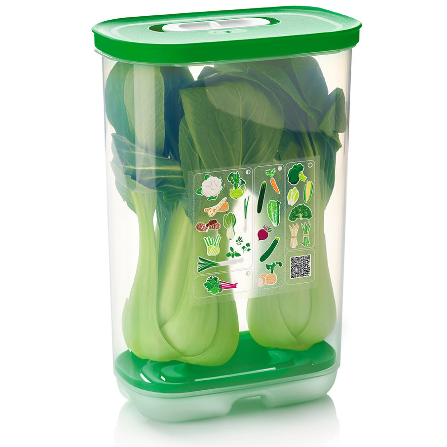 FridgeSmart® Vertical – Tupperware US