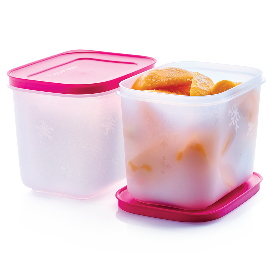 Freezer Mates® Containers – Tupperware