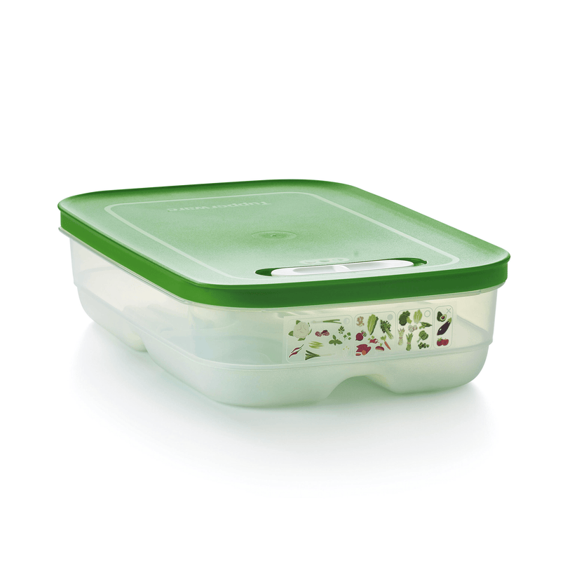FridgeSmart ® Medium Container – Tupperware Brand